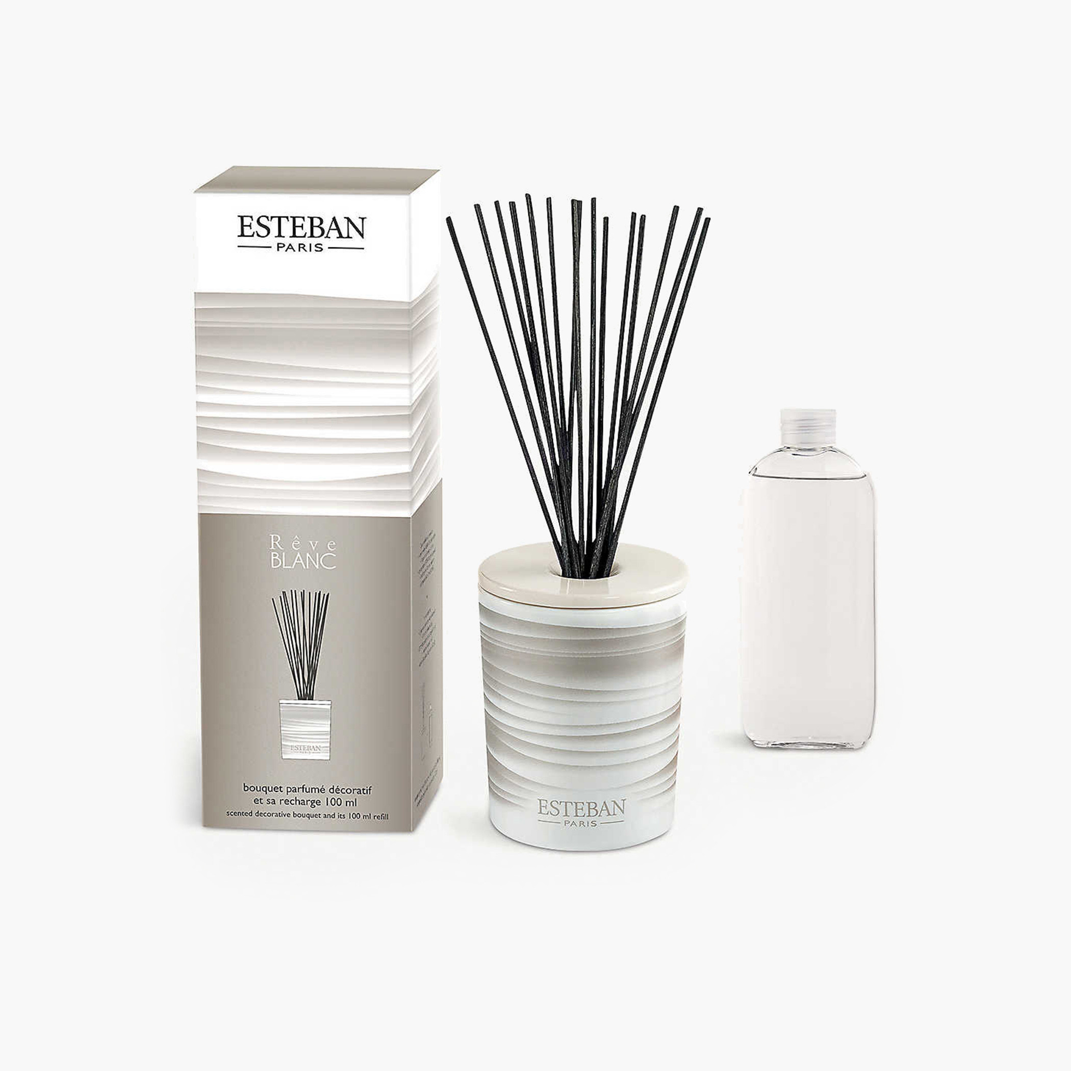 Shop Esteban Reve Blanc 15-Piece Reed Diffuser Set - 100 ml Online ...