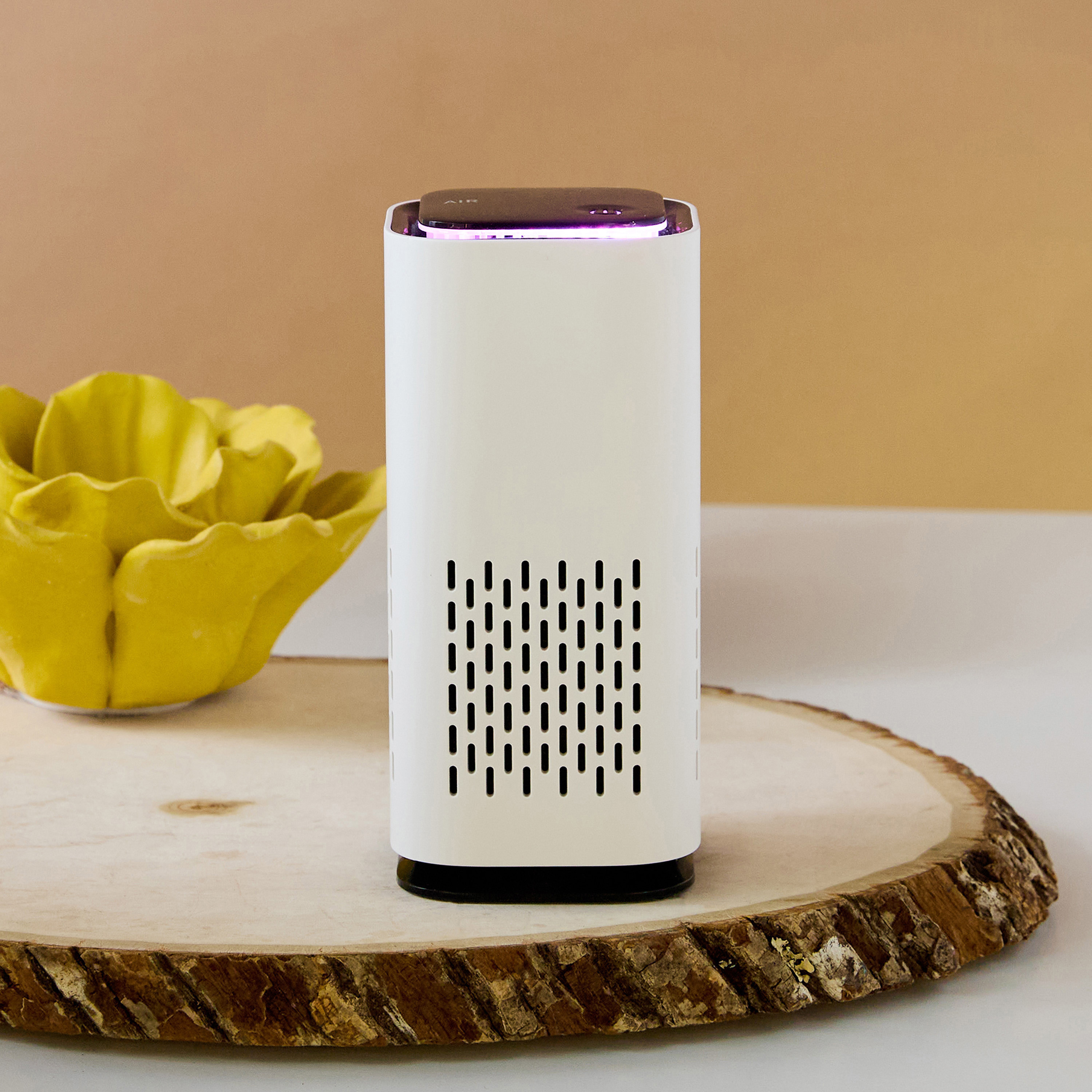 Air purifier online store