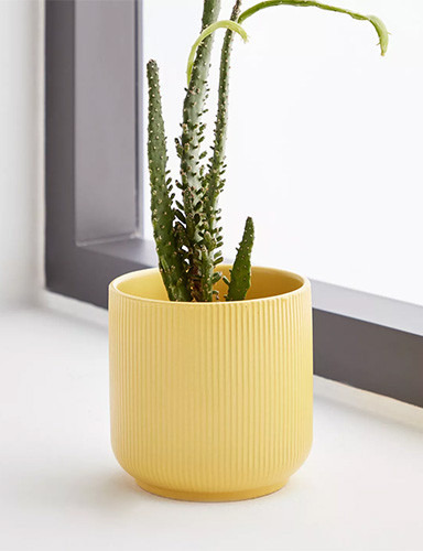 Home Furnishings | HomeBox UAE